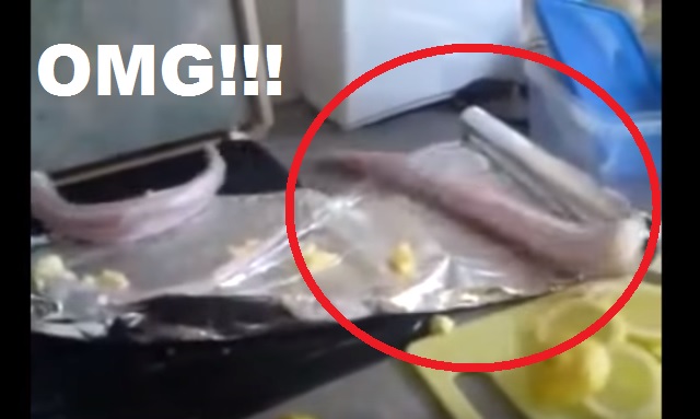 Lifeless Fish Experiment - Mind Blowing | NewsFeed