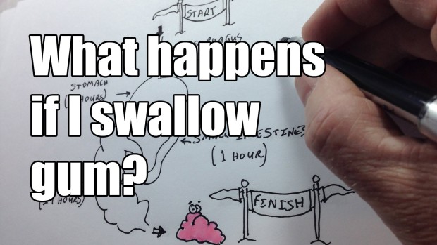 What Happens To Your Body When You Swallow A Chewing Gum