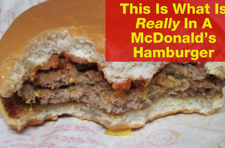 What's REALLY Inside Of A McDonald's Hamburger - Revealed