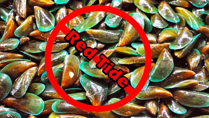 Red Tide Alert Raised In Western Samar, BFAR