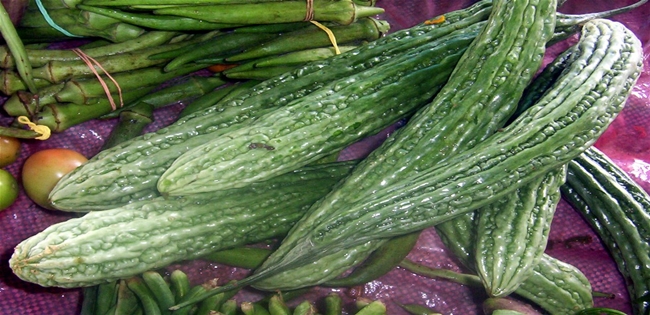 Health Benefits of Ampalaya (Bittermelon)