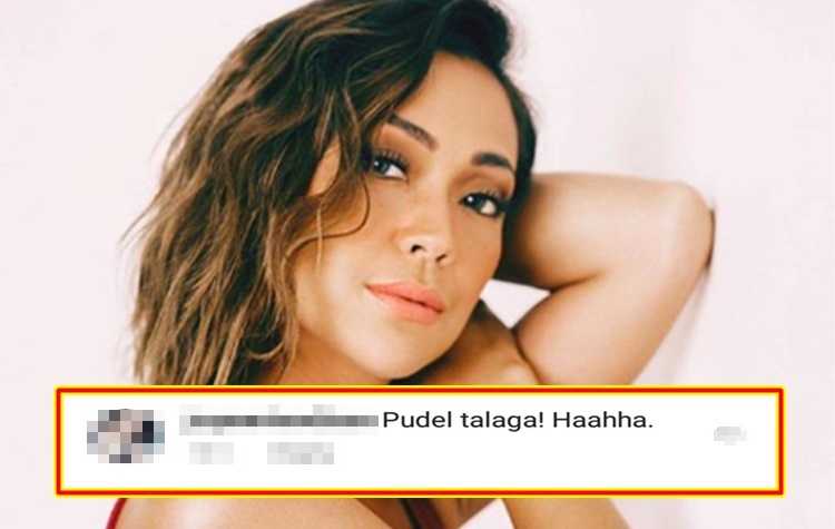 Jodi Sta. Maria Mocked By Netizens For Her Pronunciation Of "Poodle"