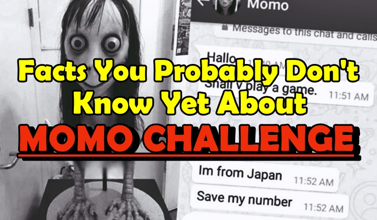MOMO CHALLENGE: Facts You Probably Don't Know Yet About This