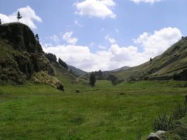 Mga Anyong Lupa (Landforms) Kinds & Definitions