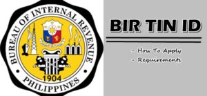 BIR TIN ID: How To Apply For TIN ID To BIR & Requirements To Prepare