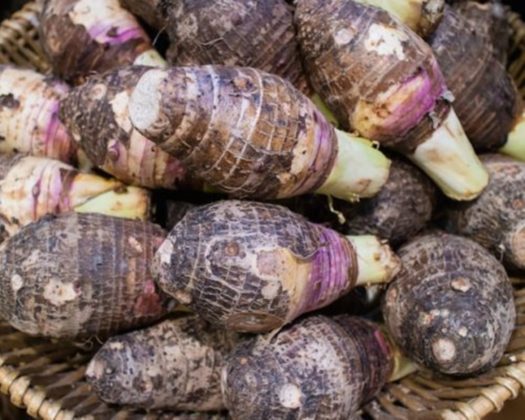 TARO BENEFITS - 5 Excellent Health Benefits Of Taro / Gabi