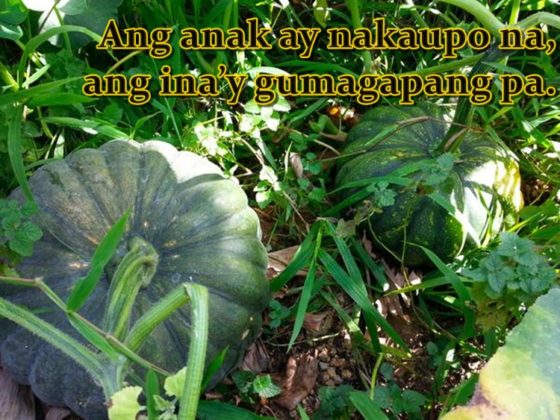 Bugtong Or Filipino Riddles Examples And Answers