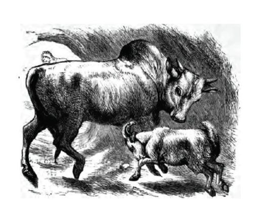 PABULA (Filipino Fables): The Definition & Examples