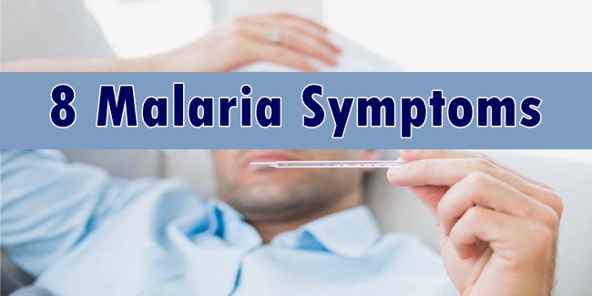 MALARIA SYMPTOMS - 8 Signs Of This Disease From Mosquitoes