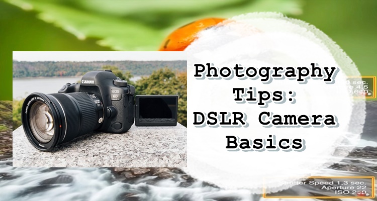 Photography Tips: DSLR Camera Basics To Produce Photos Like A Pro