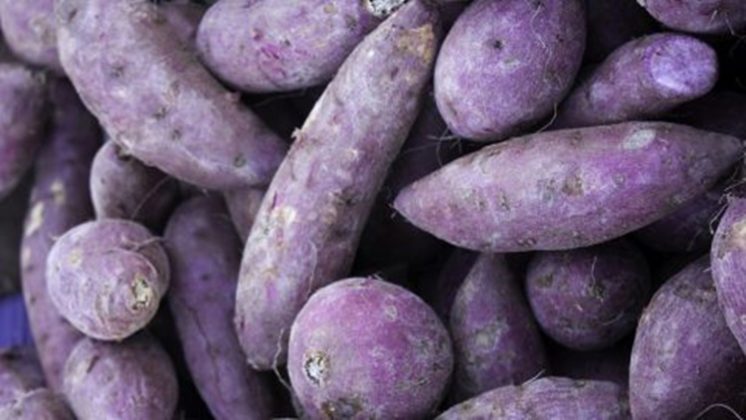 UBE BENEFITS - 5 Excellent Health Benefits Of Ube / Purple Yam