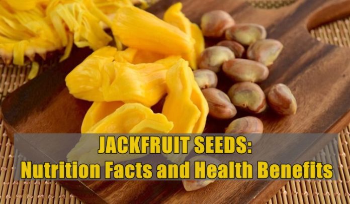 JACKFRUIT SEEDS: Nutrition Facts and Health Benefits