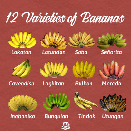 Banana Varieties: How Well Can You Identify Them?