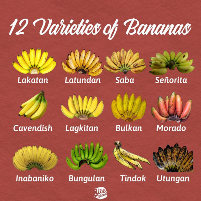 Banana Varieties: How Well Can You Identify Them?