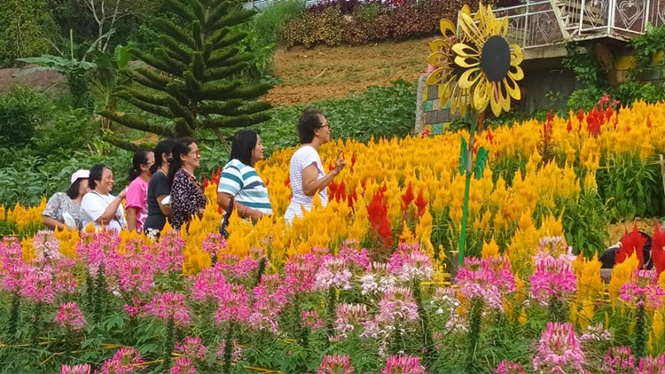 Little-Amsterdam-in-Cebu | NewsFeed