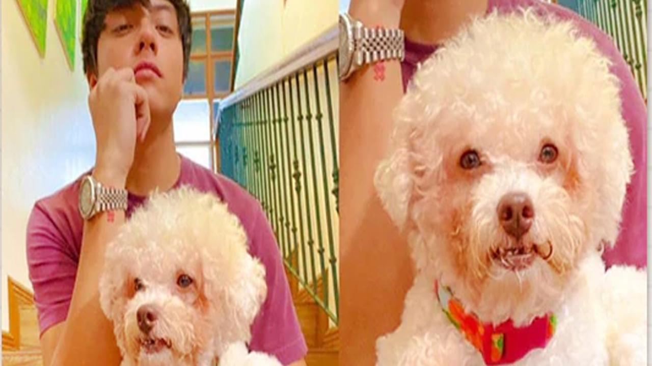 Daniel Padilla Asked about Loyalty: “Yung aso ko pinaka loyal”