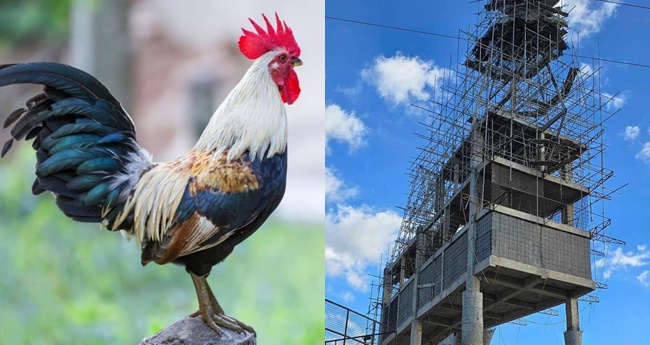 Rooster-Shaped Hotel in Negros Occidental | NewsFeed
