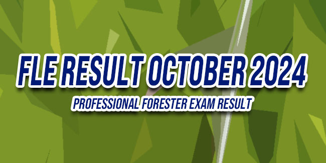 FLE Result October 2024 | NewsFeed