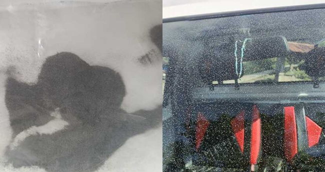 Thick Ash from Mount Kanlaon Covers Vehicle | NewsFeed