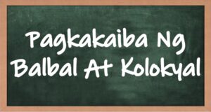 Pagkakaiba Ng Balbal At Kolokyal (Mga Halimbawa) | NewsFeed